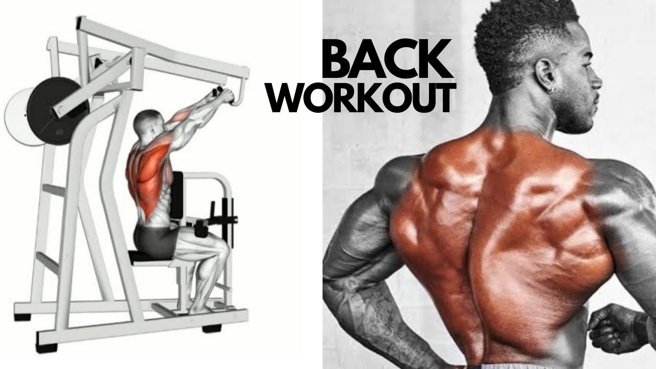Top 5 Best Exercises To Get A Bigger Back - YouTube