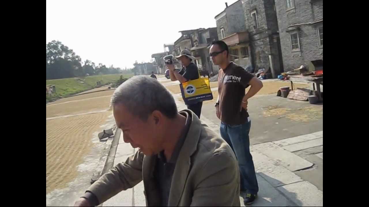 A Visit To A Wong Village In Kaiping, China 開平 (Hoiping Near Toisan ...