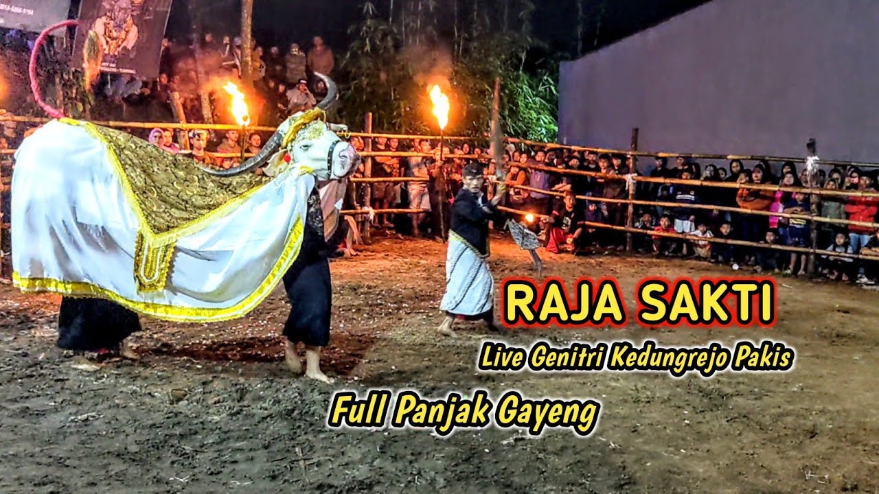 RAJA SAKTI Tampil Gayeng Di iringi Panjak Live Genitri Kedungrejo Pakis ...