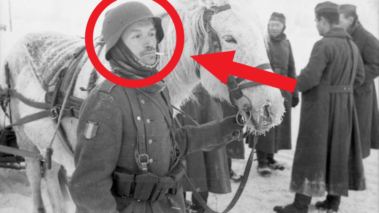 The German Soldier Who Survived The Frozen Hell Of Demynask - YouTube
