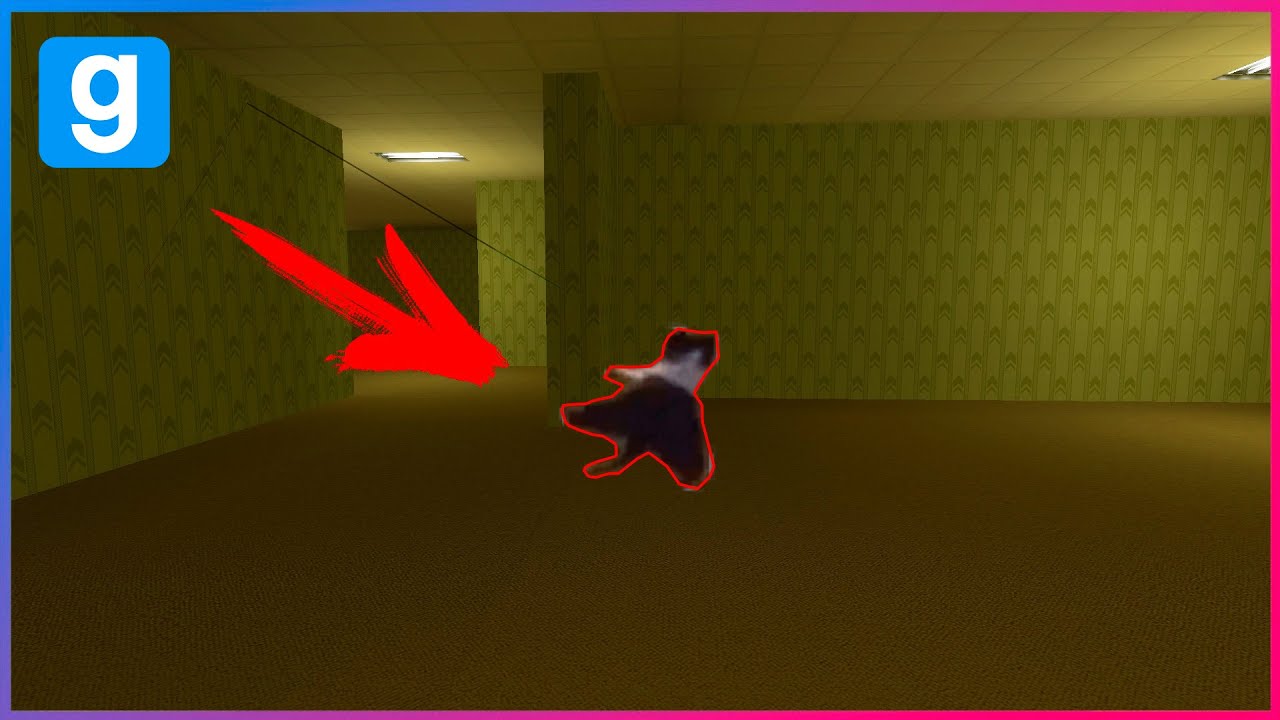 [NEXTBOT] DANCING CAT in BACKROOMS! - YouTube