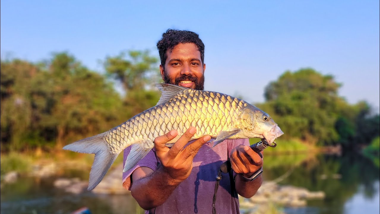 Insane Snakehead and Mahseer fishing in Kaveri river. - YouTube