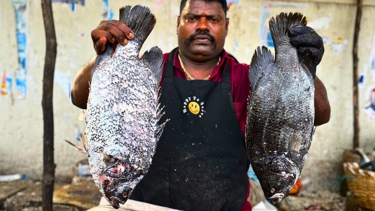 KASIMEDU SPEED SELVAM KODUVA FISH CUTTING VIDEO / cutting focus - YouTube