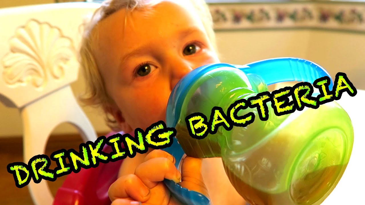 Drinking Bacteria Infested Water - YouTube