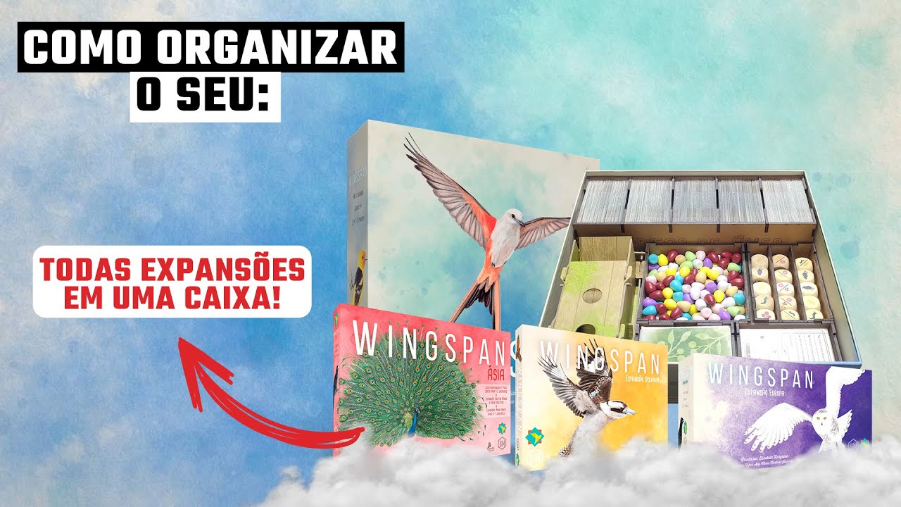 Wingspan + Expansões | Como organizar o insert MDF - YouTube