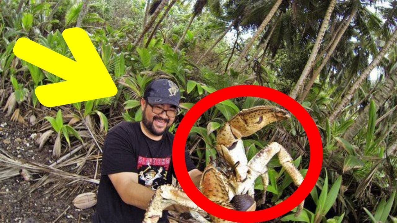 Man Finds Weird Creature, Decides to Do This - YouTube