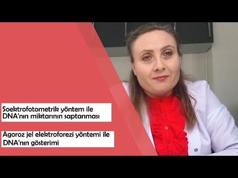 DNA Görülebilir mi?