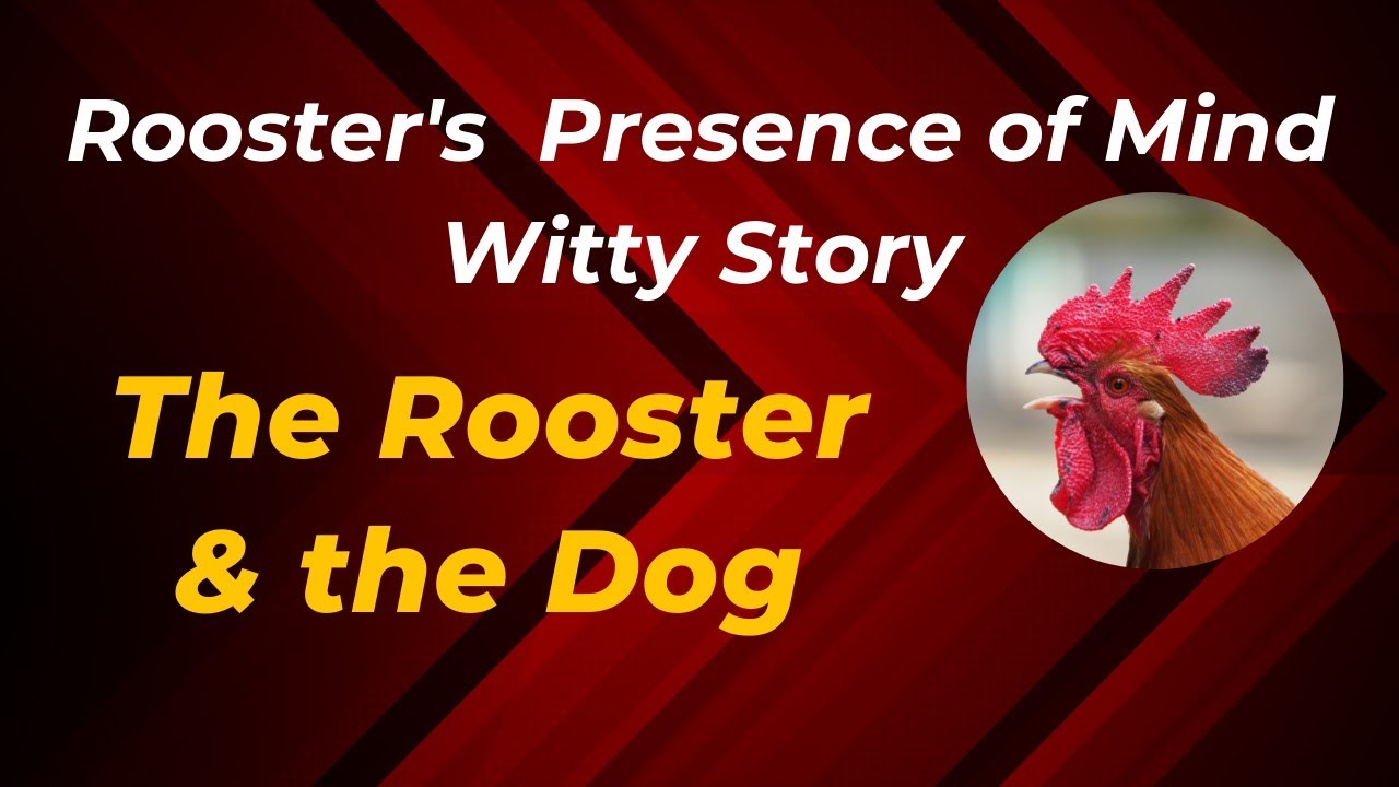 Story 362 The Rooster & the Dog|#pause4amovement # ...