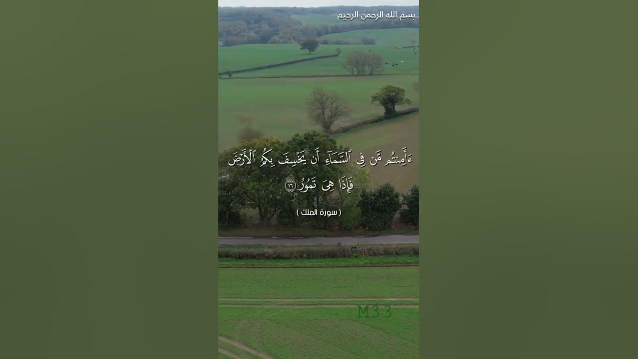 هُوَ الَّذِي جَعَلَ لَكُمُ الْأَرْضَ ذَلُولًا فَامْشُوا فِي