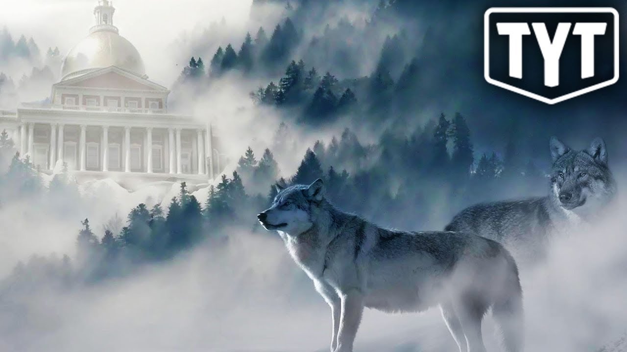 Wolf-PAC's Next Big Fight Is Here - YouTube