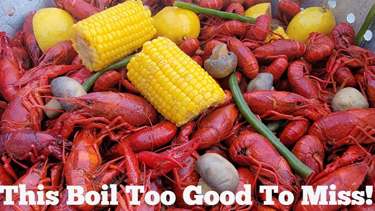 This Boil Too Good To Miss Out! The One Burner You Want To Use To Boil ...