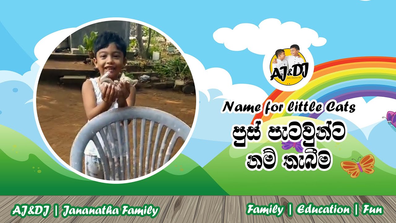 Name for little Cats | පුස් පැටවුන්ට නම් තැබීම (Aj&Dj | Jananatha ...