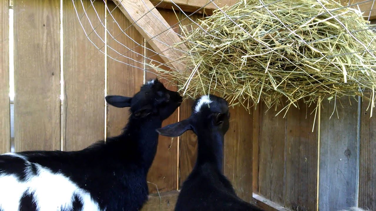 Hay bar installed and stocked - YouTube