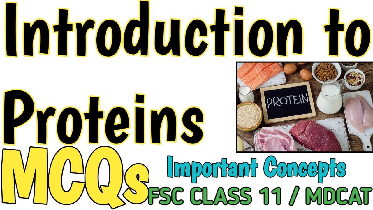 Introduction to Proteins MCQS | BIOLOGY FSC CLASS 11 and MDCAT ...