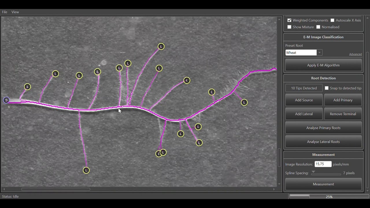Colza root analysis with Rootnav 1.8.1 - YouTube