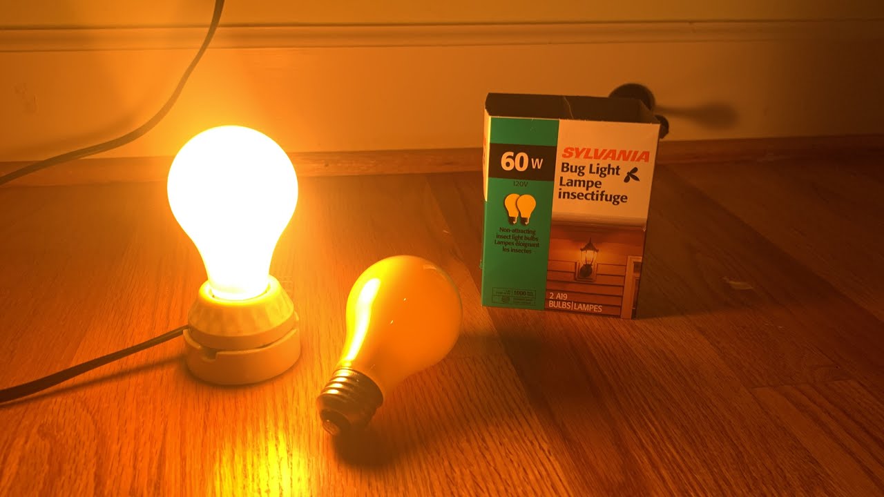 Sylvania 60w incandescent yellow bug light bulbs - YouTube