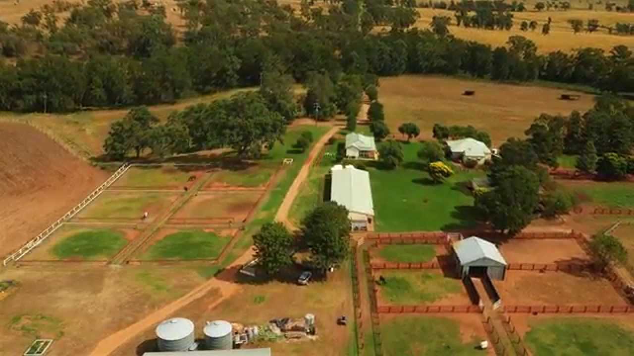 Bay Meadows - Home of the Successful Bylong Park Stud, Denman - YouTube