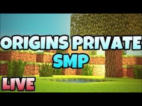 minecraft smp live stream - YouTube