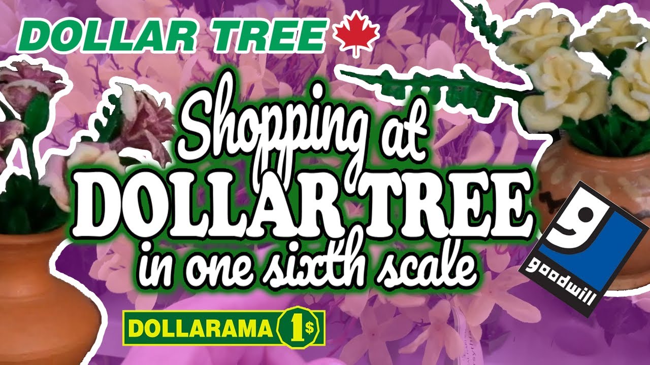 Shopping for Diorama Supplies at the Dollar Tree & Goodwill - YouTube