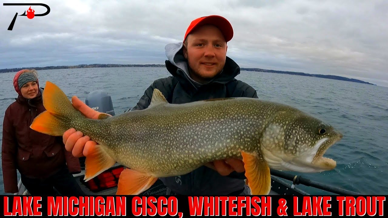 Lake Michigan Cisco, Whitefish & Lake Trout Fishing - YouTube