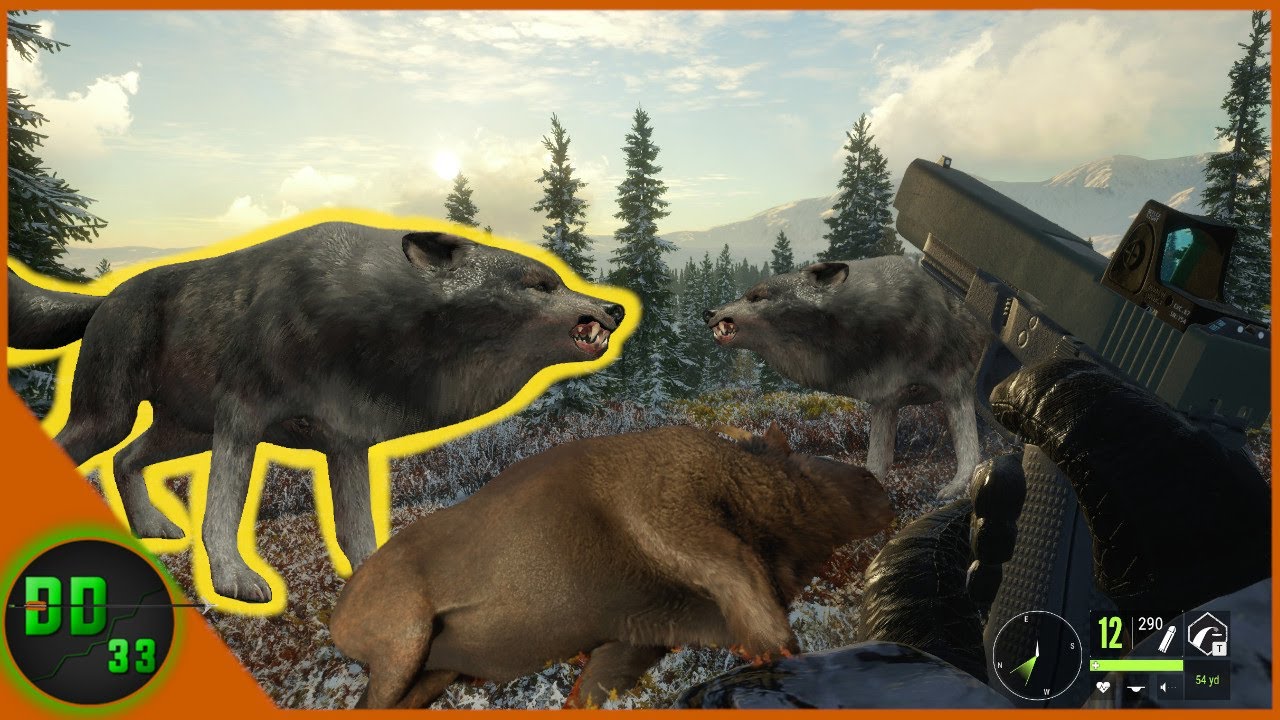 We Tried Baiting Wolves and This HAPPENED!! Call Of The Wild - YouTube
