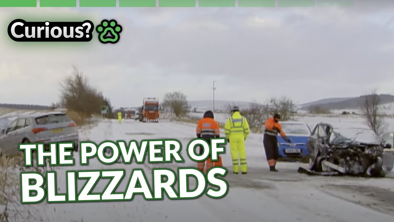 Tales of Deadly Blizzards | Deadly Disasters | Curious?: Natural World ...