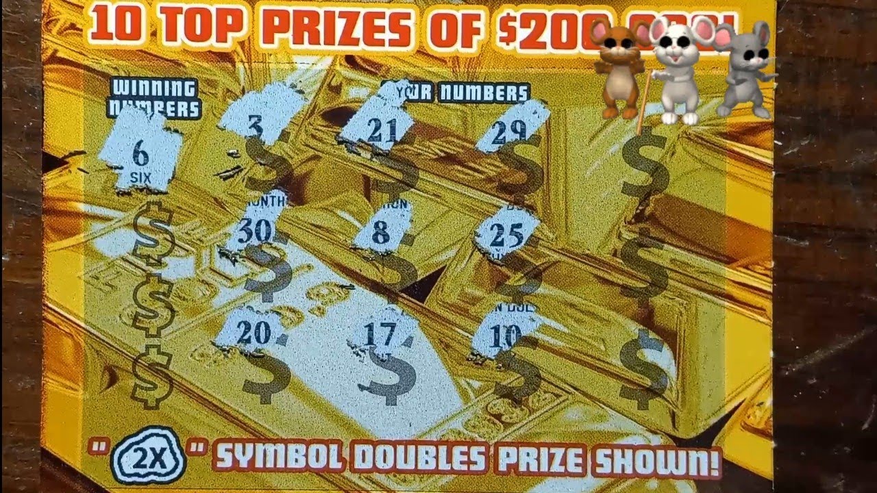 Follow up to black box video 😅 Suprise guests make an appearance (RIP Jack 🙏) - YouTube