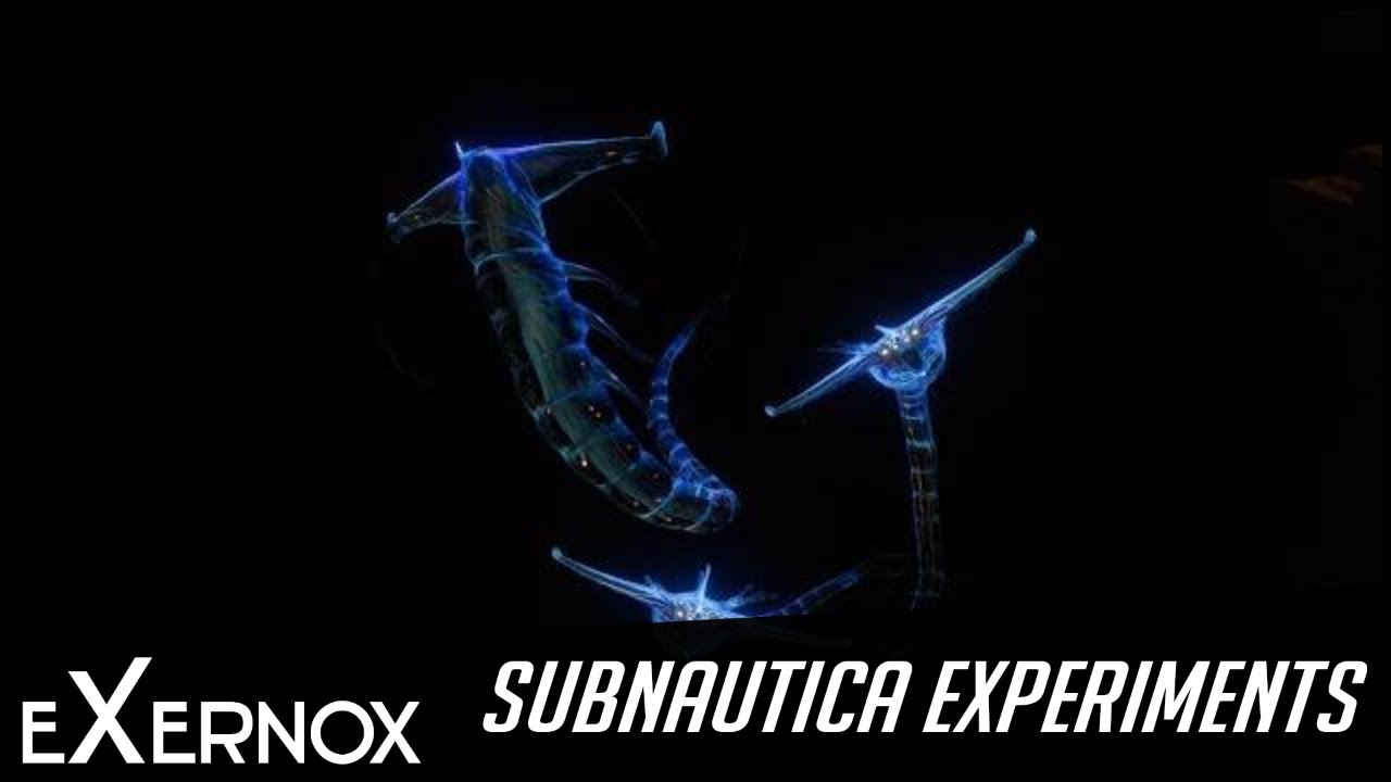 The Void | Subnautica No Comment Adventure (uncut video) - YouTube