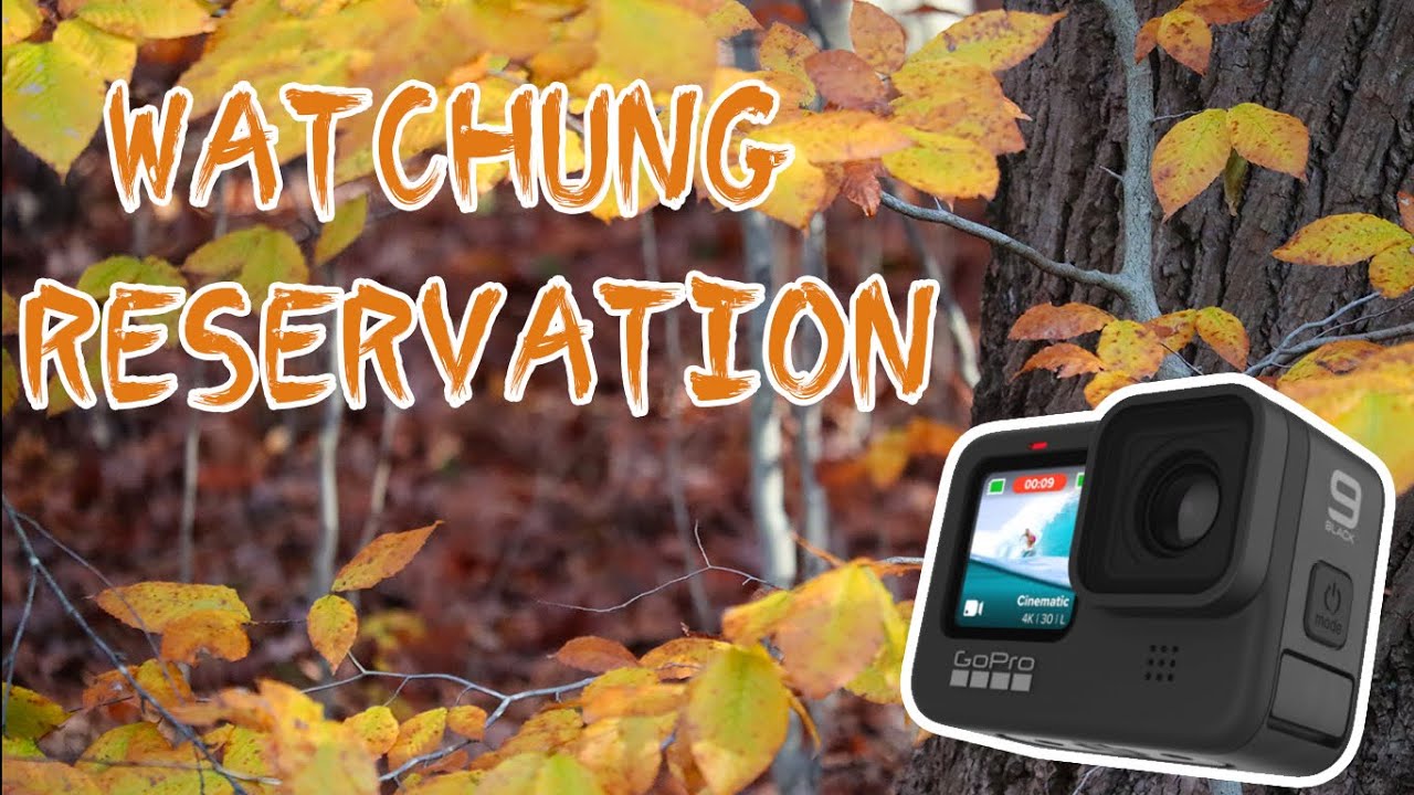 Watchung Reservation New Jersey / Senderismo / Transiciones con la ...