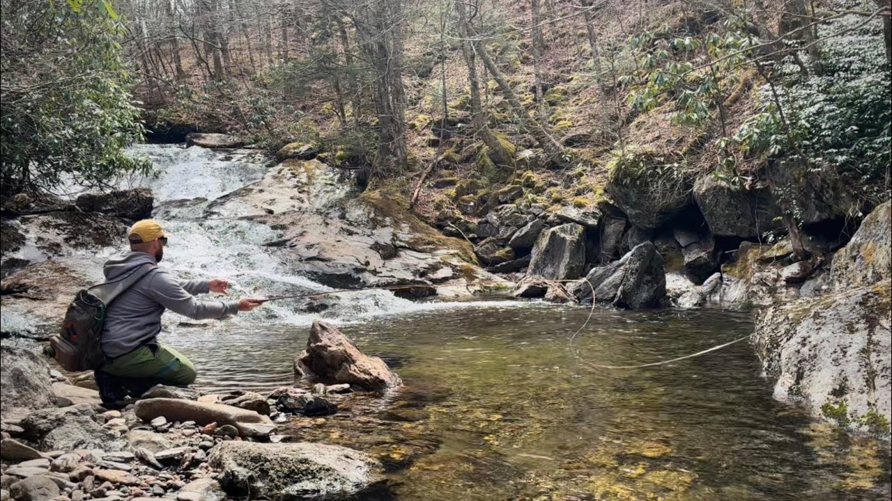 Fly fishing for native Brook Trout near Asheville North Carolina - YouTube