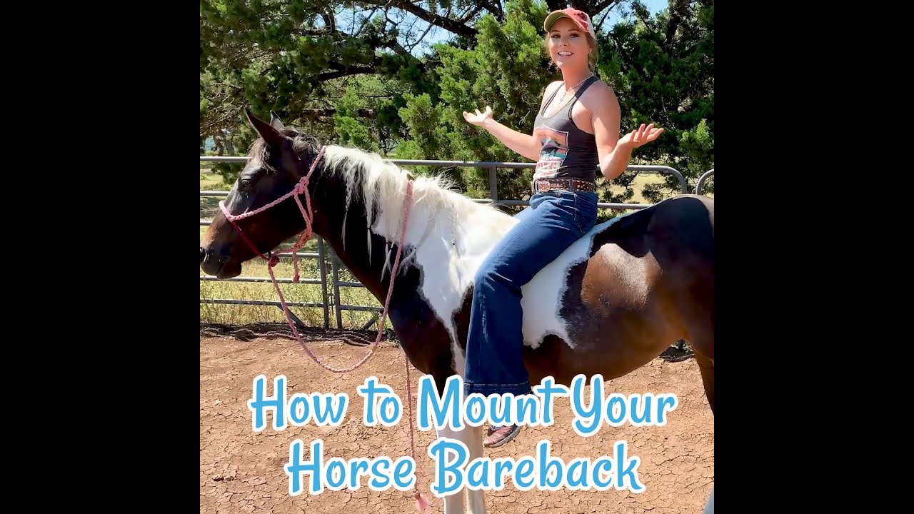 How to Mount Your Horse Bareback - YouTube