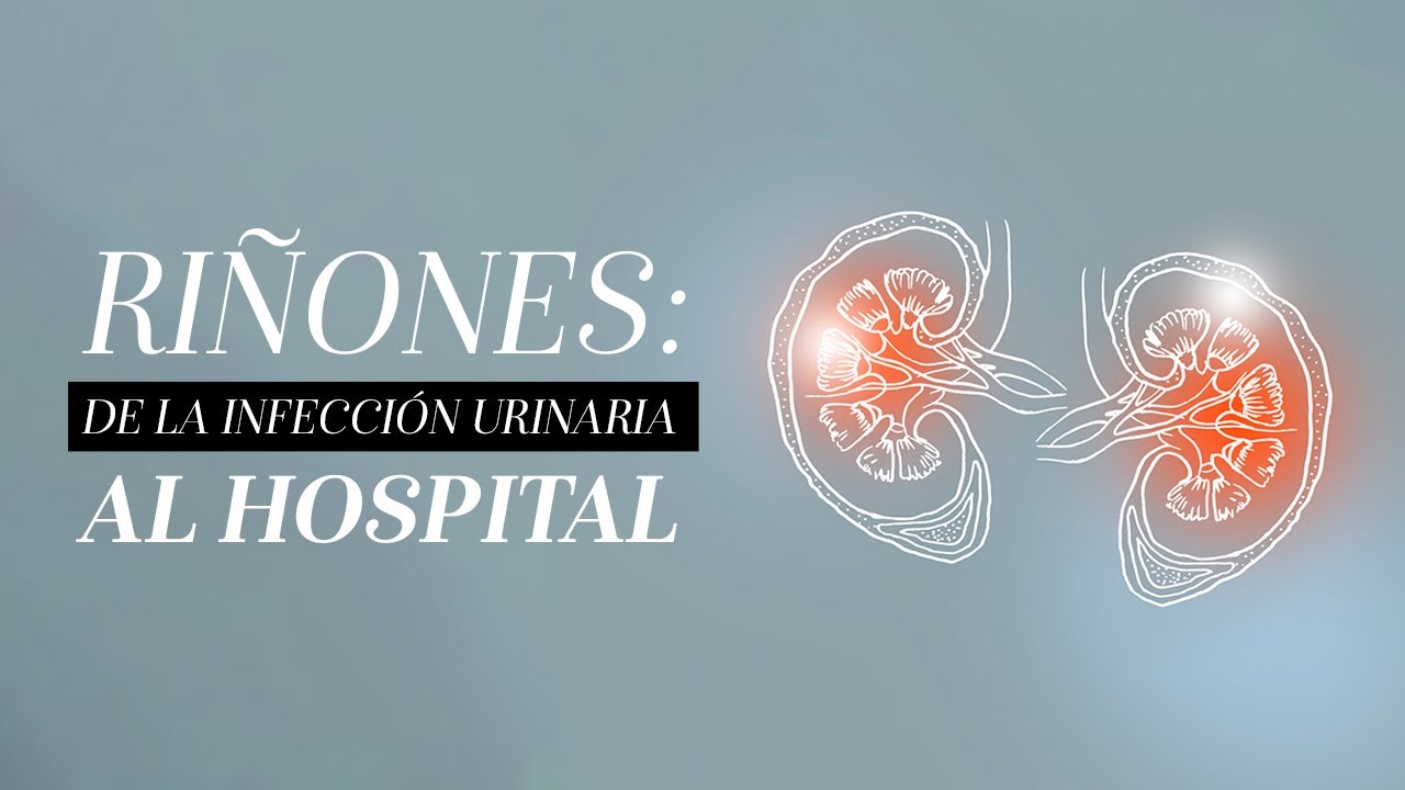Riñones: de la infección urinaria al hospital | Martha Debayle - YouTube