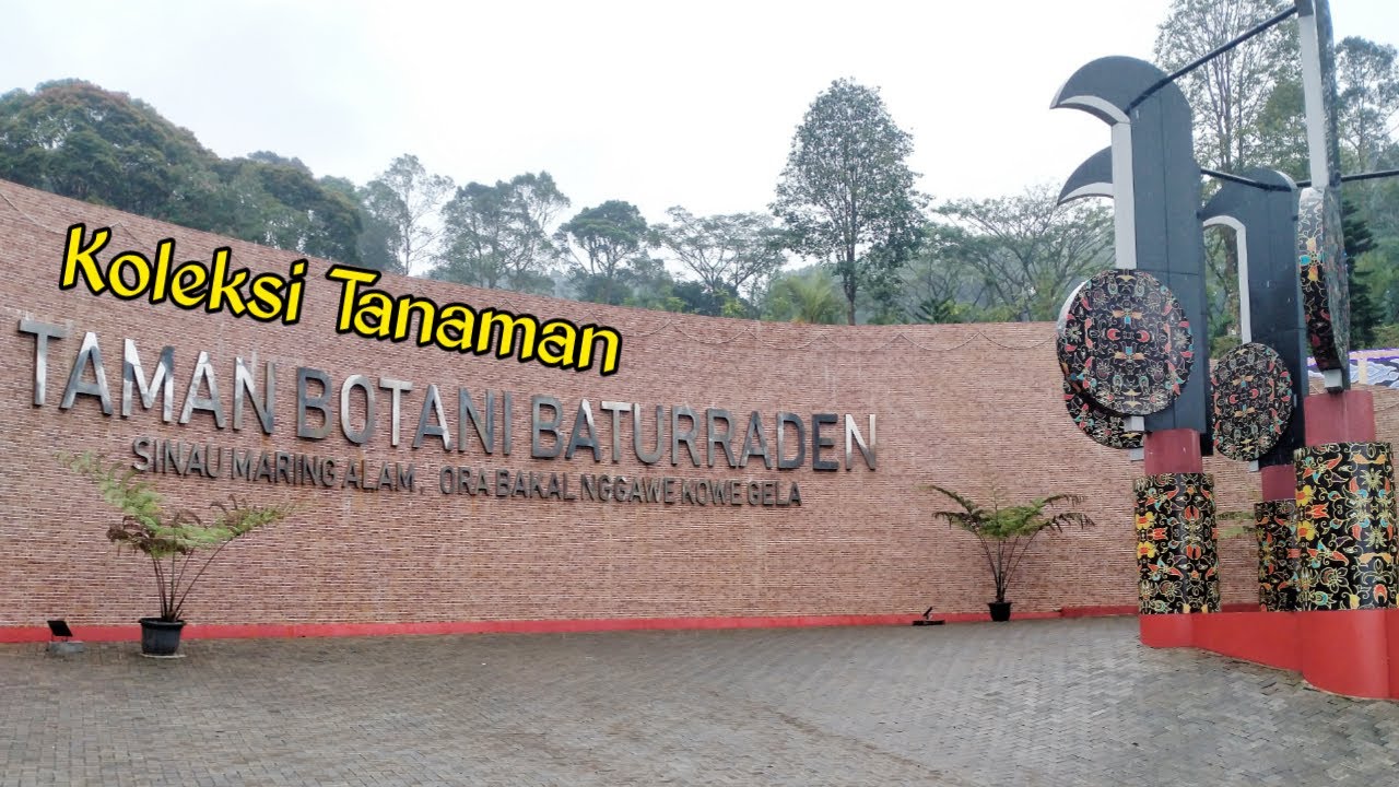 Koleksi Tanaman Taman Botani Baturraden - YouTube
