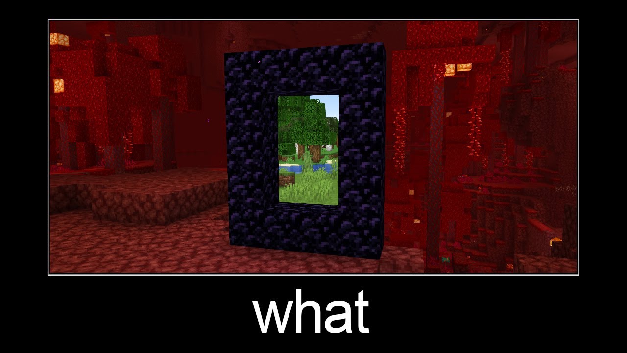 Minecraft wait what meme part 66 (transparent portal) - YouTube