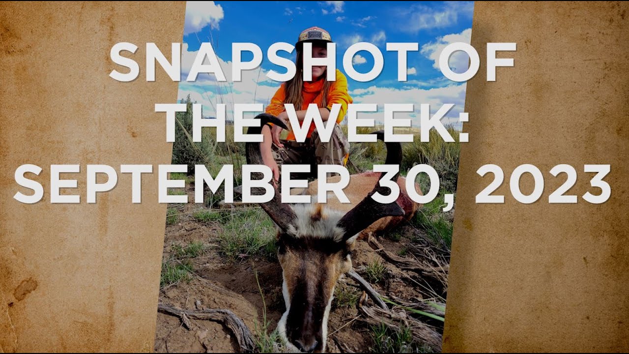 Snapshot of the Week: September 30, 2023 - YouTube