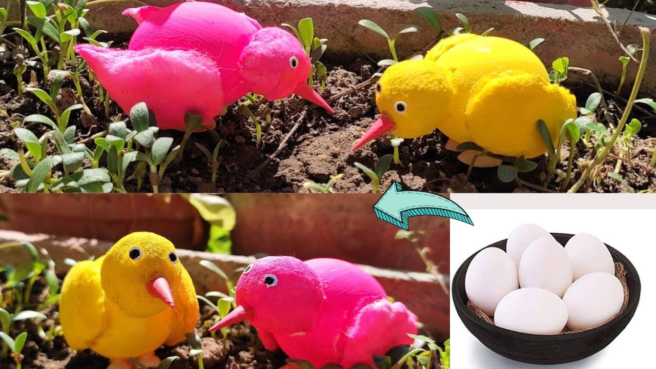 Egg Shell Bird Craft Idea | Bird Out Of Egg Shell | Bird Toy Using Egg ...
