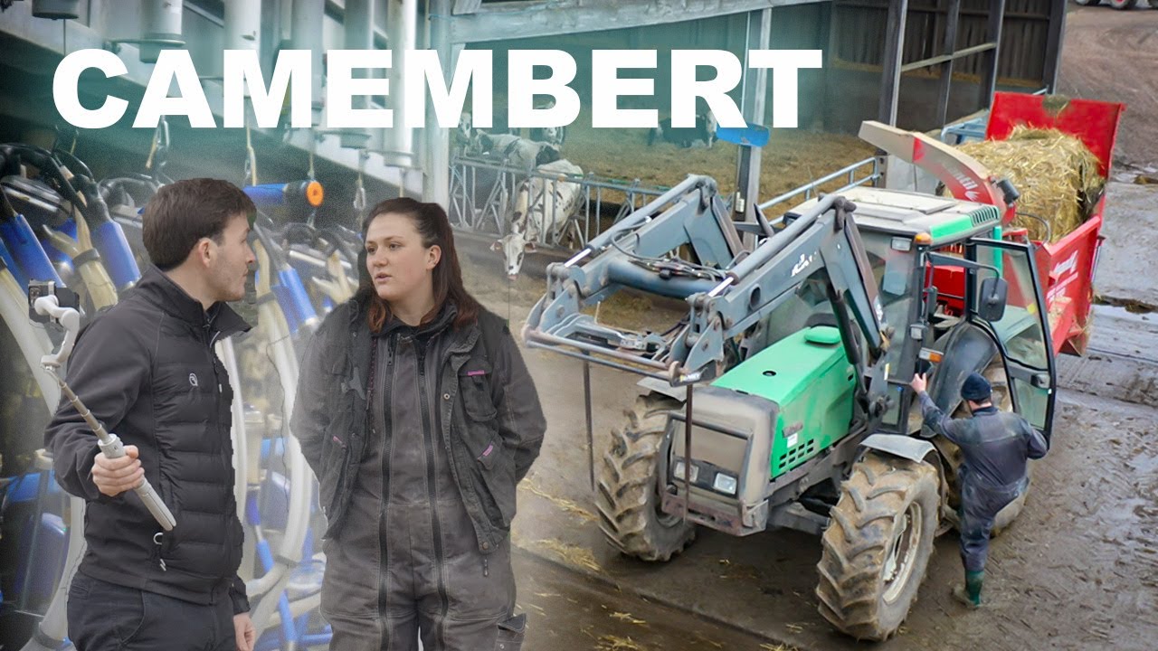 Production du Camembert dans la ville de Camembert ! - YouTube