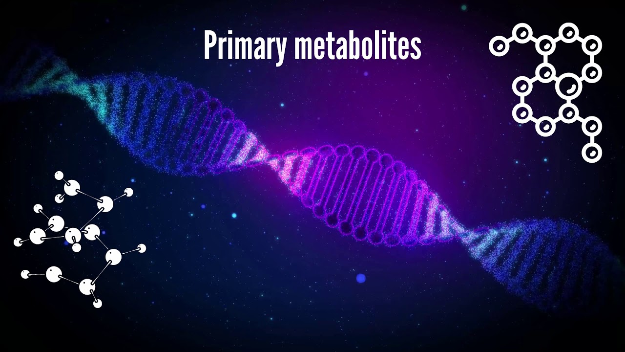 Natural Product Chemistry (Phytochemistry) - YouTube