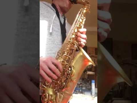 SEQUOIA (lemon) alto saxophone test - YouTube