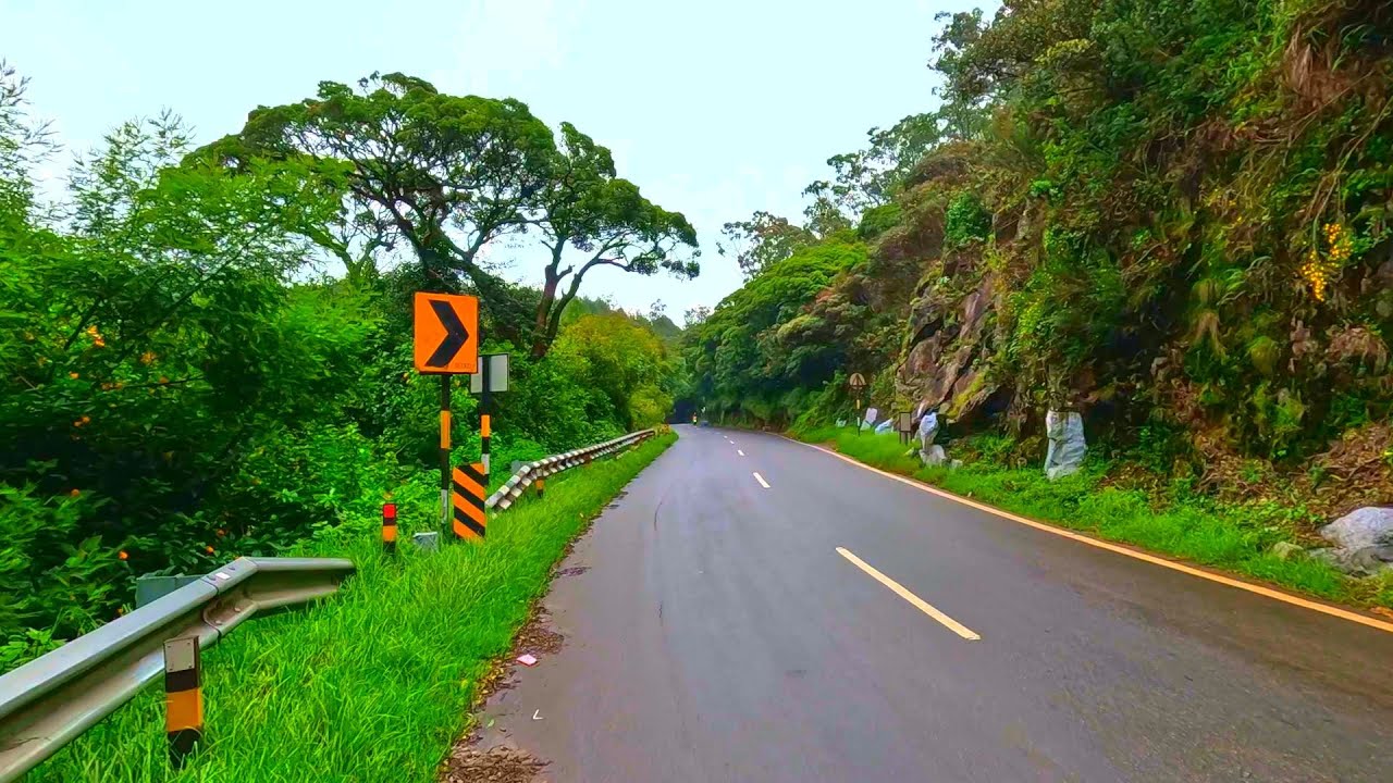 Nilgiri hills nature walk | Ooty to Doddabetta and Cinchona forest road ...