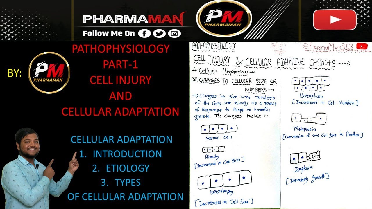 PART-1 CELL INJURY & ADAPTATION || CELLULAR ADAPTATION || TYPES ...