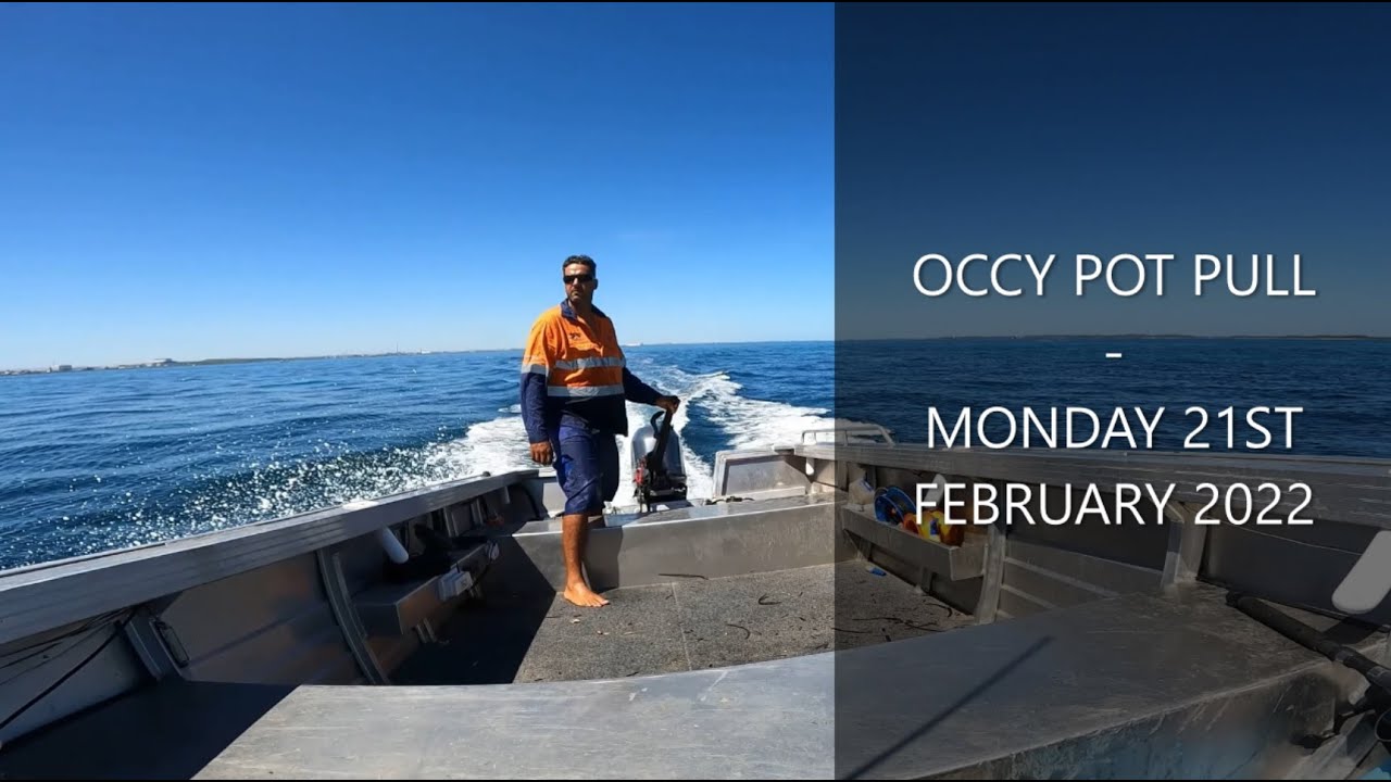 ANOTHER OCCY POT PULL!! - YouTube