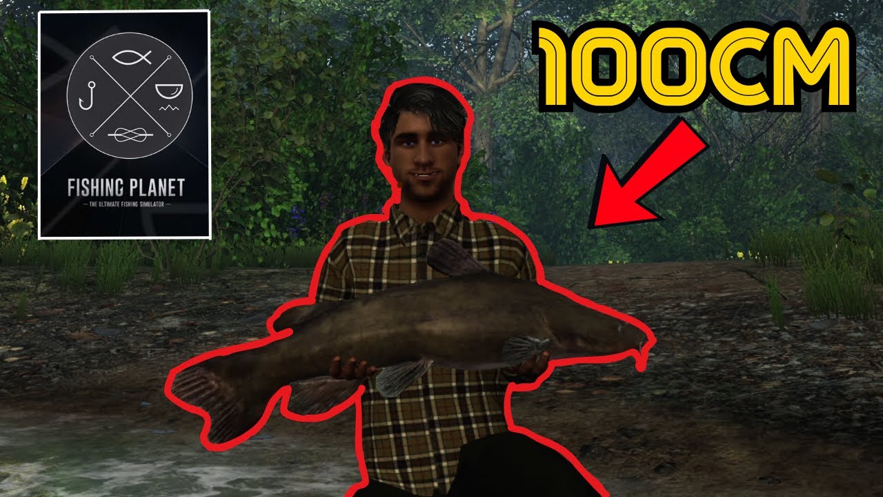 WIELKIE SUMY z RZEKI !! Fishing Planet ! - YouTube