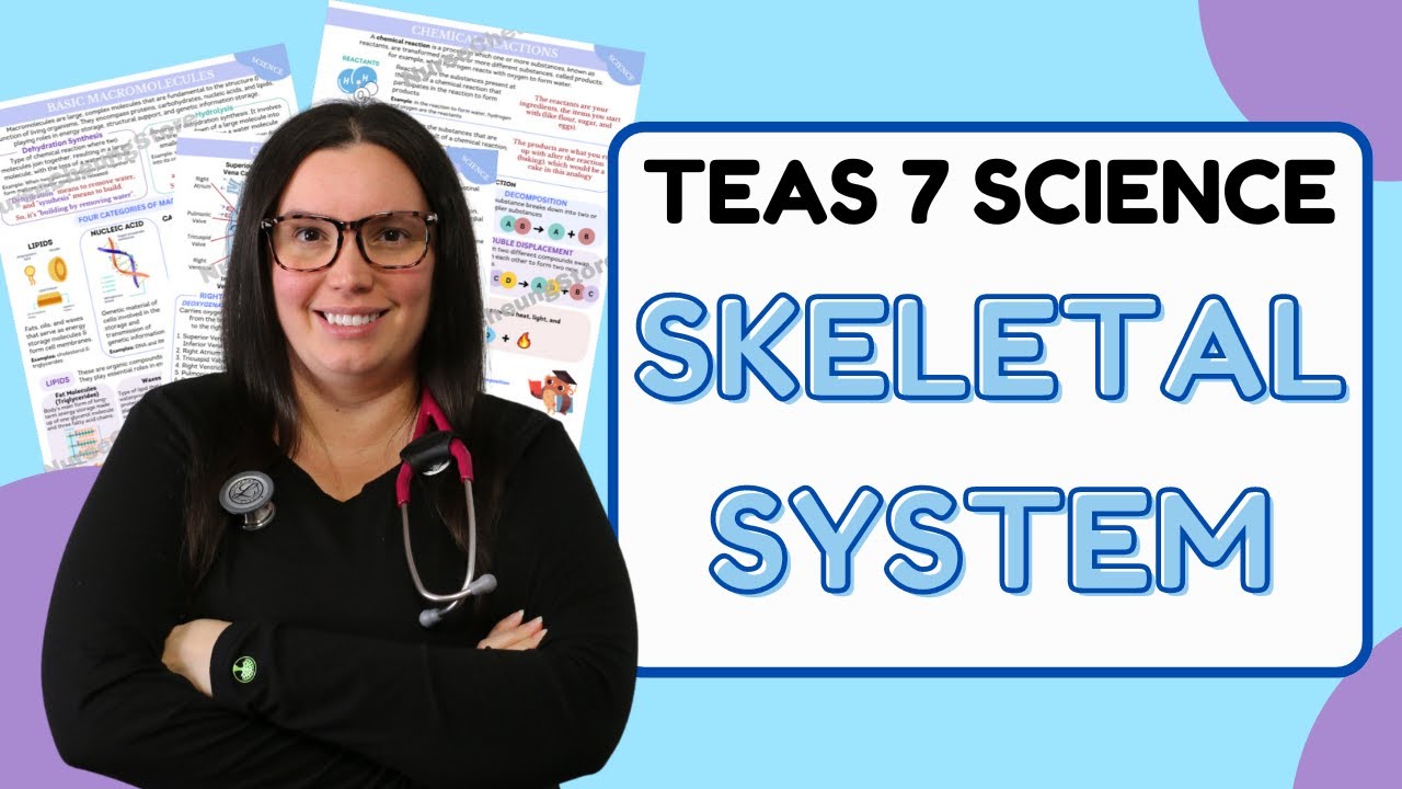 2025 ATI TEAS 7 Science Anatomy and Physiology Skeletal System with ...