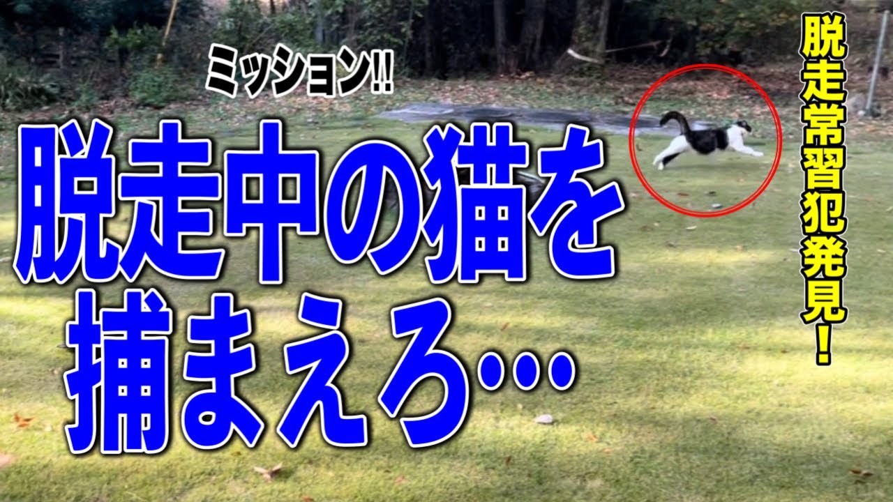 18 【大事件発生】やっちまいました。油断禁物でした… Youtube