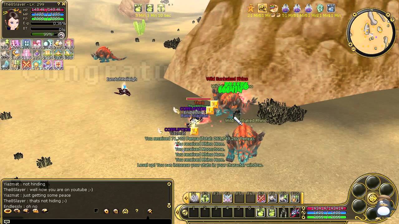 Insanity Flyff E101 - Slayer lvl 298-300 - YouTube