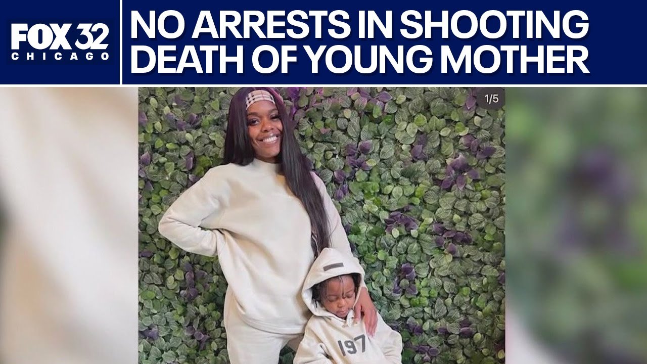 After no arrests in Chicago's mom's killing, family demands answers ...