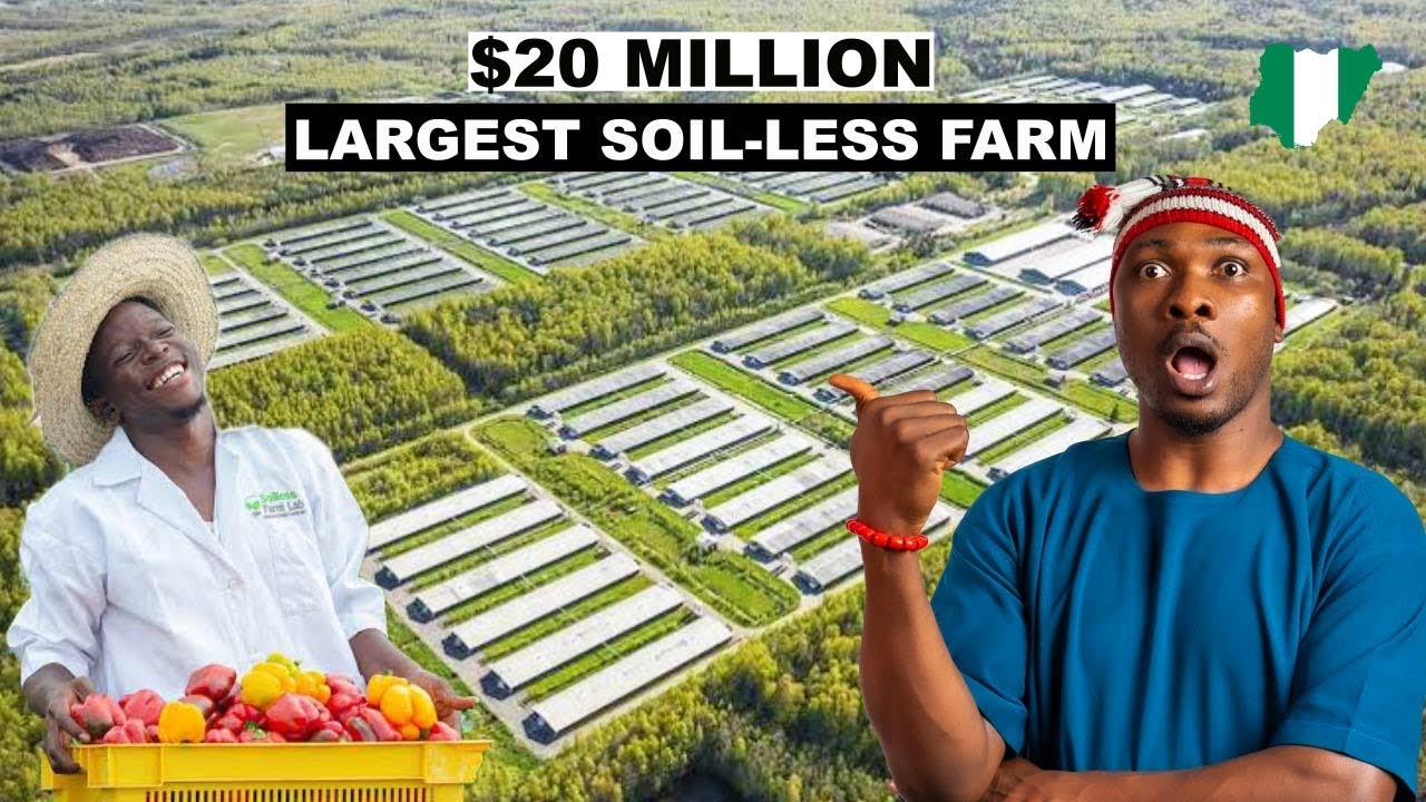 He Built The Largest SOILLESS FARM in Nigeria (Worth $20 Million) - YouTube