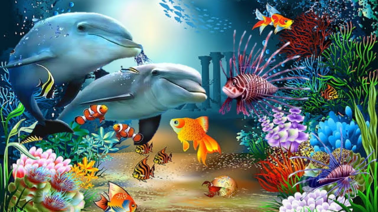 WARNA WARNI IKAN LAUT YANG CANTIK -Beautiful Colorful Sea Fish - YouTube