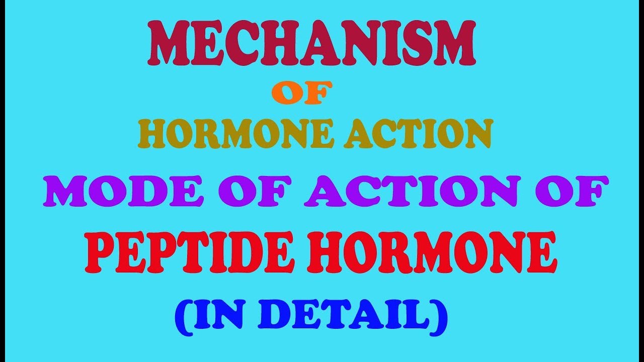 PEPTIDE hormone mechanism(in detail) - YouTube